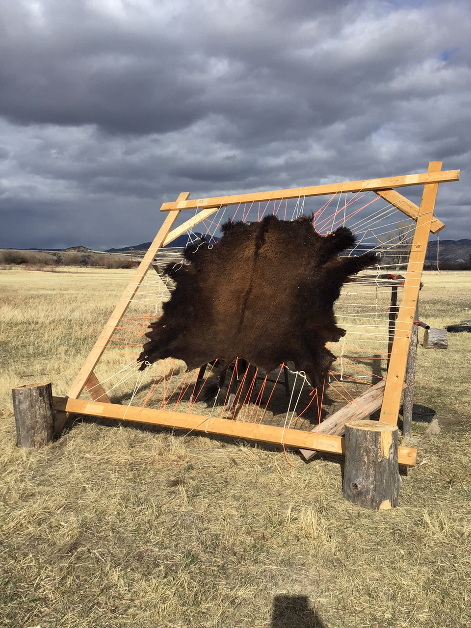 Make your own Bison robe class (deposit) – Montana Survival Seed