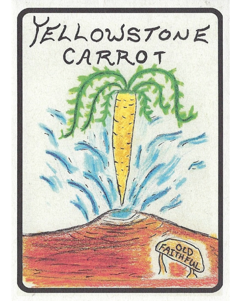 Carrot, Yellowstone – Montana Survival Seed